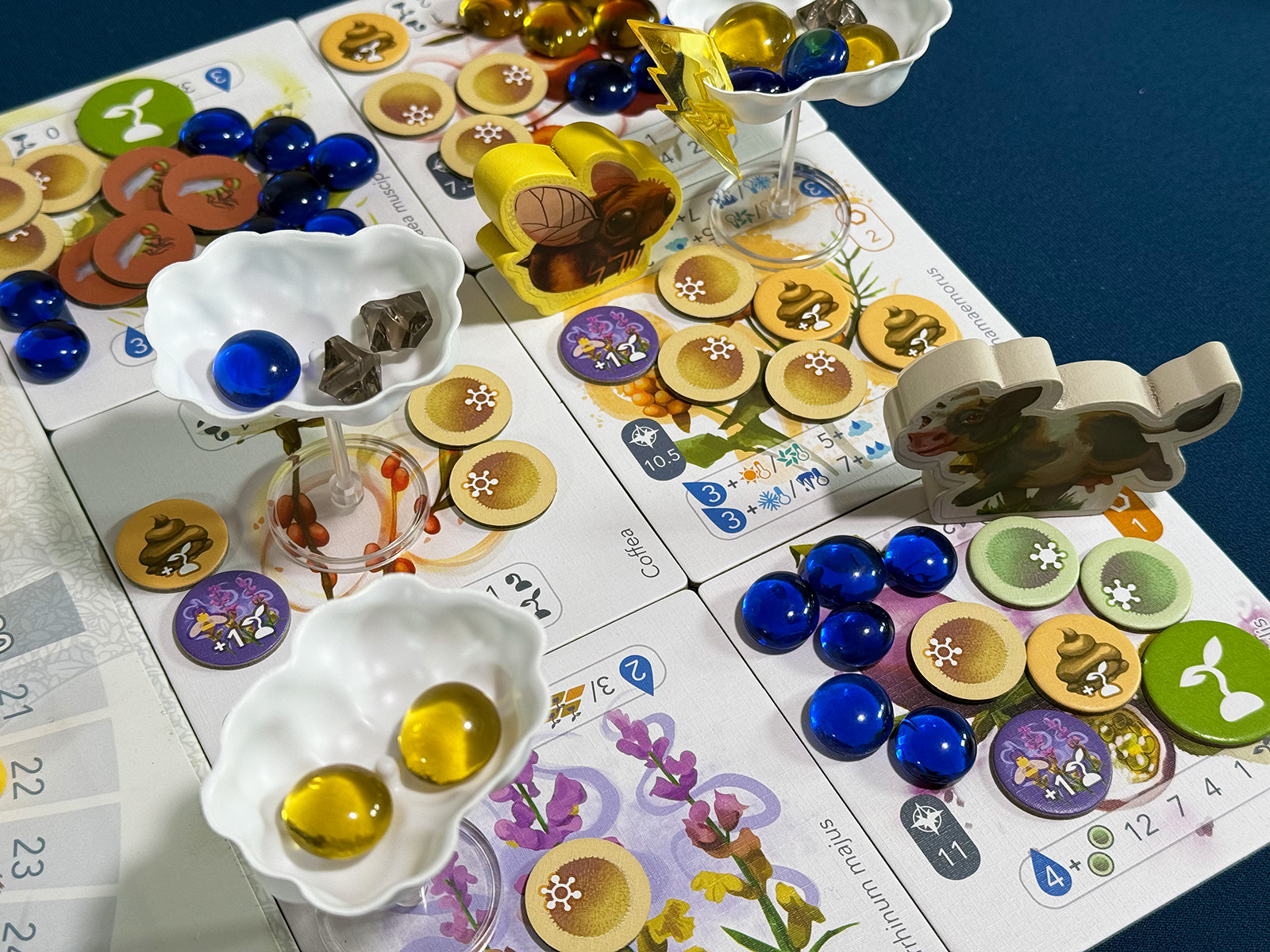 Raindrops Keep Fallin' All Over with Petrichor | Gameward Bound